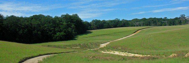Météo Gabon 15 jours - Météocity - Prévisions gratuites